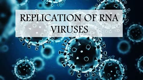 How Rna Viruses Replicate Simplified Scientific Overview