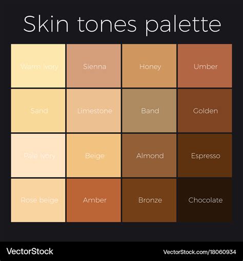 Skin Tones Palette Royalty Free Vector Image Vectorstock