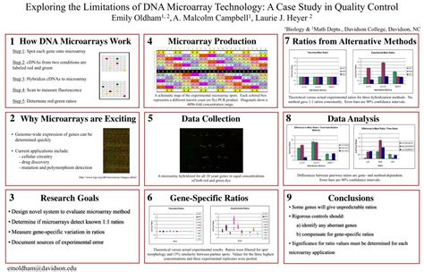 PPT How DNA Microarrays Work PowerPoint Presentation Free Download ID