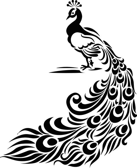 Peacock Vector Free Vector Cdr Download