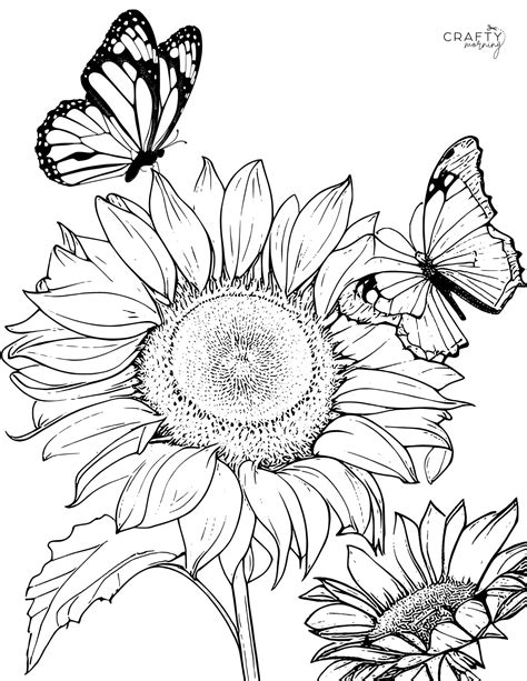 Sunflower Coloring Page Printable Sunflower Coloring Pages 25