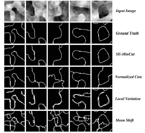 Allan Jepsons Research Image Segmentation
