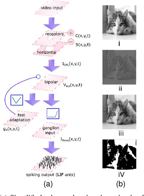 Neuromorphic Retina An Fpga Based Emulator