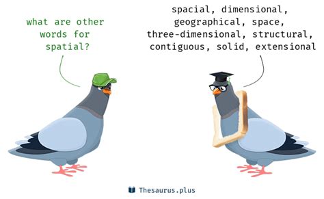 40 Spatial Synonyms Similar Words For Spatial