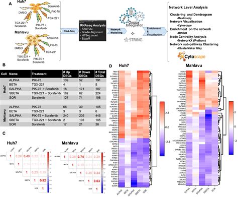 Systems Biology Flowchart For Rna Seq Data Analysis Systems Level