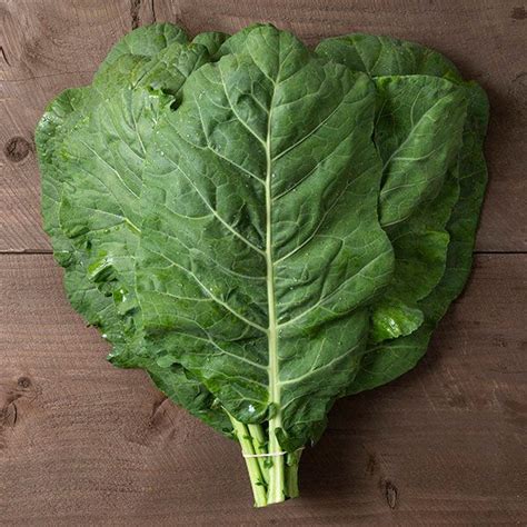 Organic Non Gmo Champion Collards