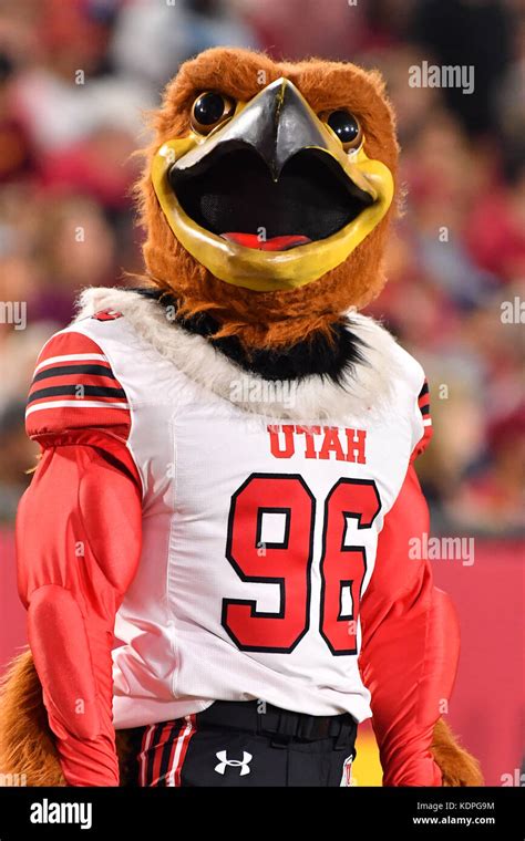 Utes‘ New Mascot Takes Wing Utah Utes Mascot Logo History Xndaa