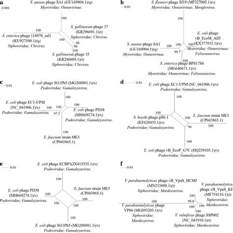 Simplot Determined Recombination Hotspots Across The Ssdna Binding