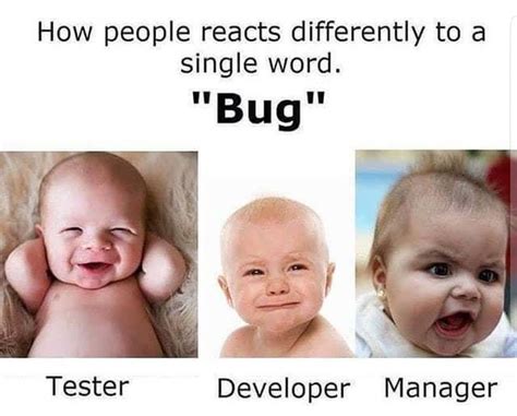 49 Memes De Programación Ideas Programmer Humor Programming Humor Programmer Jokes