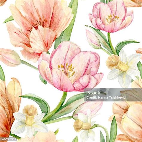 봄꽃 튤립 수선화 완벽 한 패턴입니다 손으로 그린 파스텔 색상의 수채화 일러스트레이션은 포장 직물 및 식물 디자인을 위한 것입니다 0명에 대한 스톡 벡터 아트 및 기타