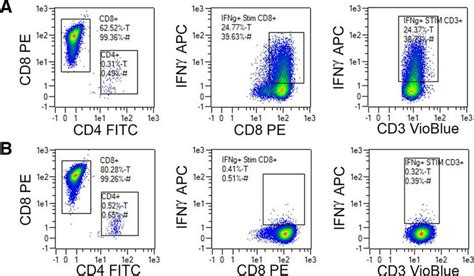 Flow Cytometry Phenotypic Analysis Of F Til±okt3 Stimulation A