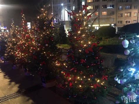 ГРОЗНО Откраднаха част от коледната украса в София Информационна агенция ПИК