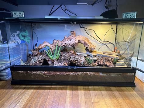 Just Finished My Bioactive Leopard Gecko Enclosure Rgeckos