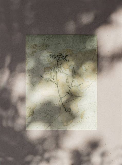 Unicidade Sofia Dinis