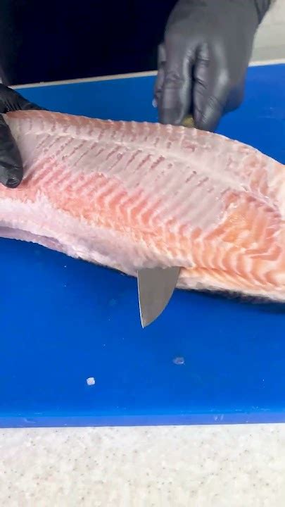 سالمون نروژی اصل Youtube