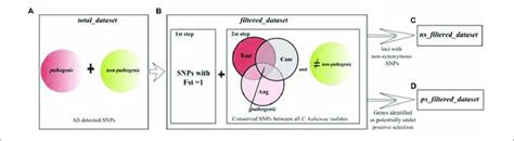 Schematic Representation Of The Datasets Used For The Analyses Download Scientific Diagram