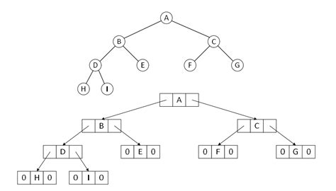 Datastructure Binary Tree