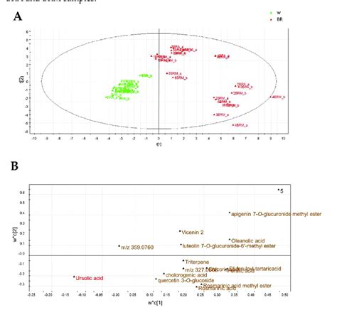 Score Scatter Plot A And Loading Plot B Of The Targeted Pls Da