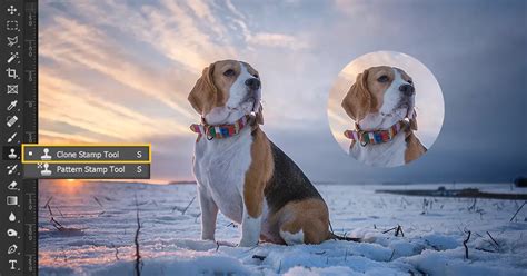 How To Use Clone Stamp Tool In Adobe Photoshop