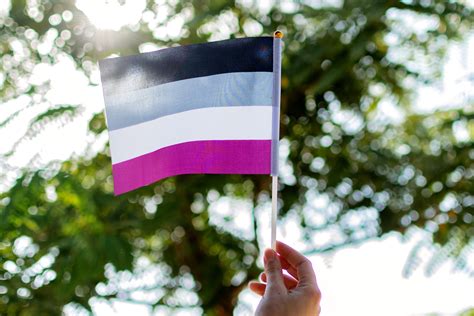 A Short Guide To Asexuality What Does Asexual Mean Rainbow And Co
