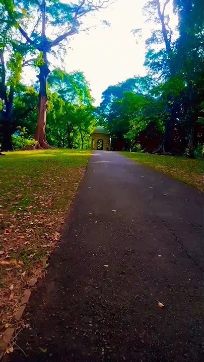 මල් වත්තේ පාරවල් මාරම ලස්සනයි 🌝ගොඩක් අයගේ ලස්සනම මතක තියෙන්නේ එතන Youtube