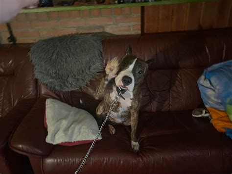 A5 Bd984 D E5 D8 44 Cf 8922 3 A5536 Defb62 — Postimages