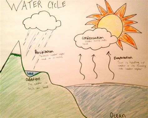 Water Cycle Drawing Assignment At Explore Collection Of Water Cycle Drawing