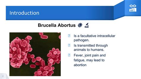 Brucella Abortus And Progesterone Ppt