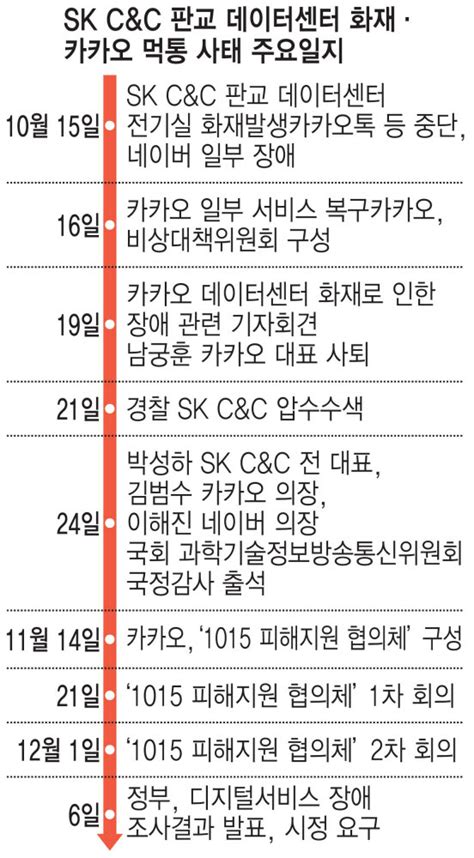 디지털 안정 강화 방안 내년 1분기까지 수립 전자신문