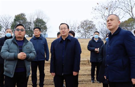 淮阳区委书记张建党调研城区道路公园和乡村产业发展工作 腾讯新闻