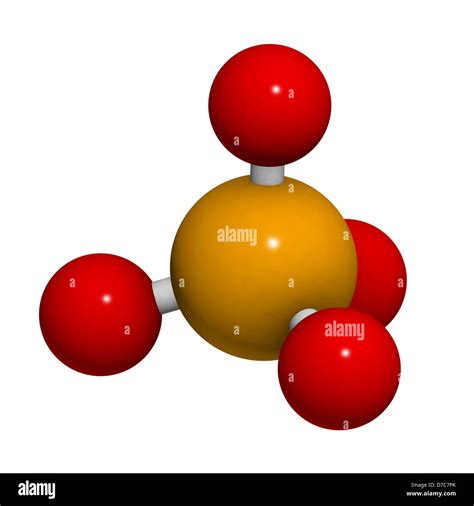 Phosphate Molecular Model Atoms Are Represented As Spheres With Conventional Color Coding