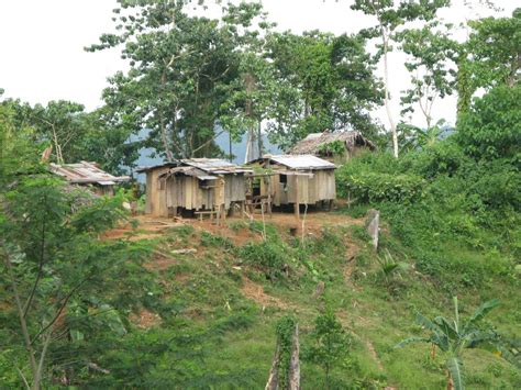 Pook Rural Philippin News Collections