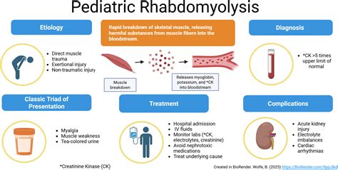 Second Episode Of Rhabdomyolysis A Case Report Journal Of Pediatric