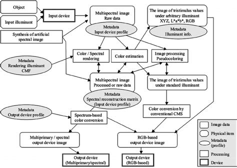 The Schematic Presentation Of The Workflow Of Multispectral Images The Download Scientific