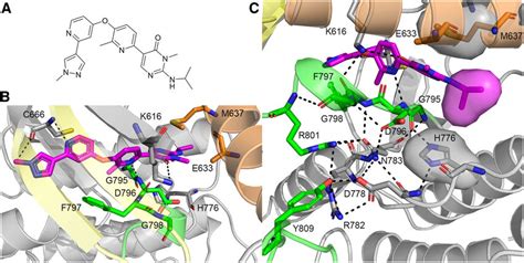 Structure Of Vimseltinib A Chemical Structure Of Vimseltinib B