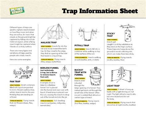 Lesson Insect Trap Materials Lab Apga