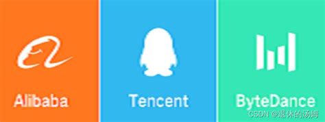 首次公开！阿里技术团队编写的“阿里巴巴 Java 面试参考指南（泰山版）java技术面试团队 Csdn博客