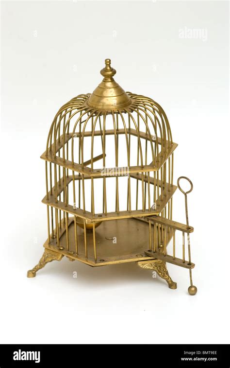 Bird Cage With Door At Natasha Pruitt Blog