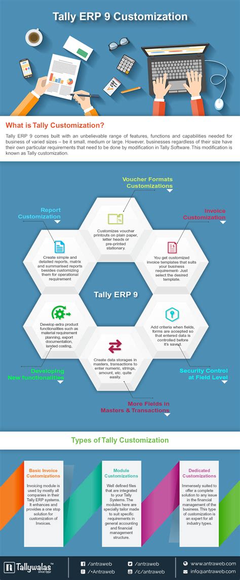 Tally Erp 9 Customization Process Infographic