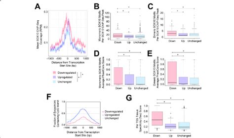 Sox10 Dependent Transcription Start Sites Are Associated With Download Scientific Diagram