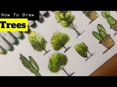 HOW TO DRAW TREES USING MARKERS Tips Howtodrawtree Architecture YouTube Tree