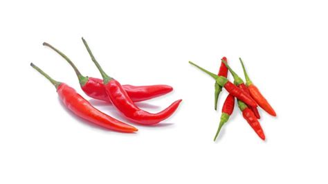 Siling Haba Recipe Yummyph