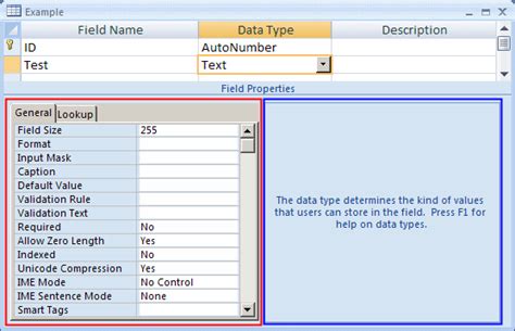 Microsoft Access Lesson 14 Getting Assistance With Data Entry