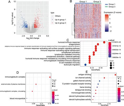 Functional Enrichment Analysis Of Groups 1 And 3 A Volcano Map Of