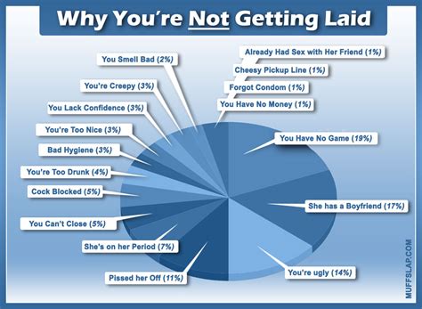 Crazy Lazy Silly And Strange Pie Charts