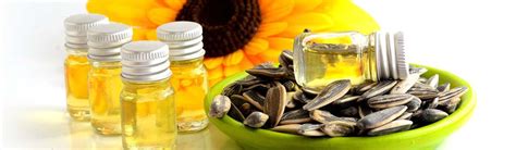 Vitamina E Benefícios Para A Saúde 22 Alimentos Ricos