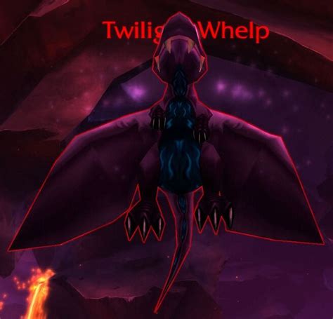 Twilight Whelp Bastion Of Twilight Warcraft Wiki Your Wiki Guide