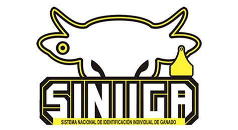Actualizacion De Upp