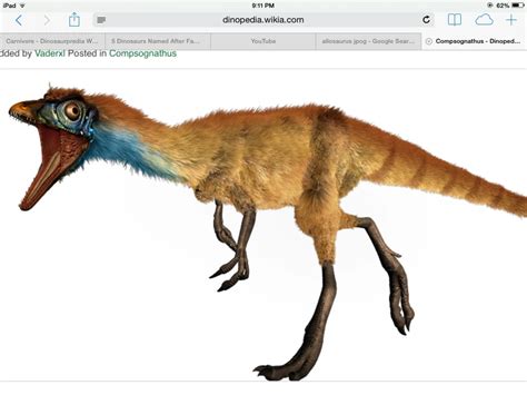Compsognathus Dinosaurpredia Wiki Fandom