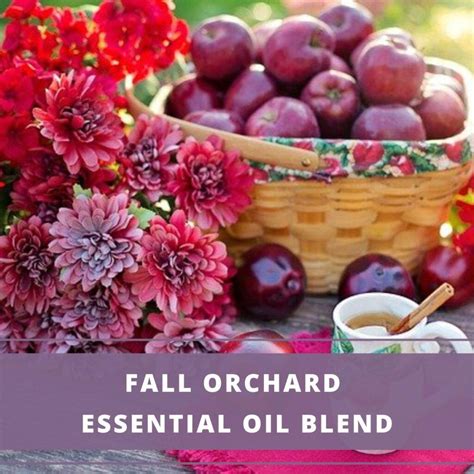 Ultimate Guide To Passive Diffusers For Essential Oils Aromatherapy